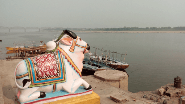 Gaay Ghat - Where Peace Meets Celebrations - Varanasi Guru