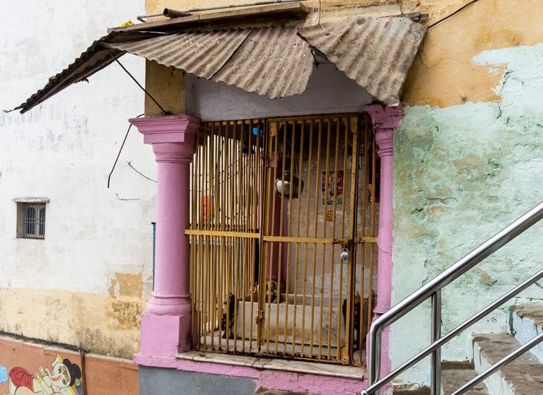 Kashi Ropeway - First Of Its Kind In India - Varanasi Guru